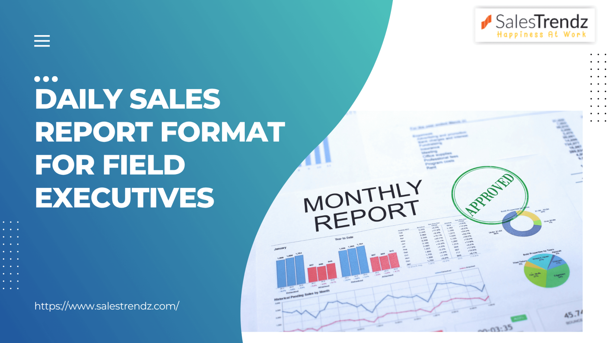 Daily Sales Report Format for Field Executives - SalesTrendz - Salesman ...